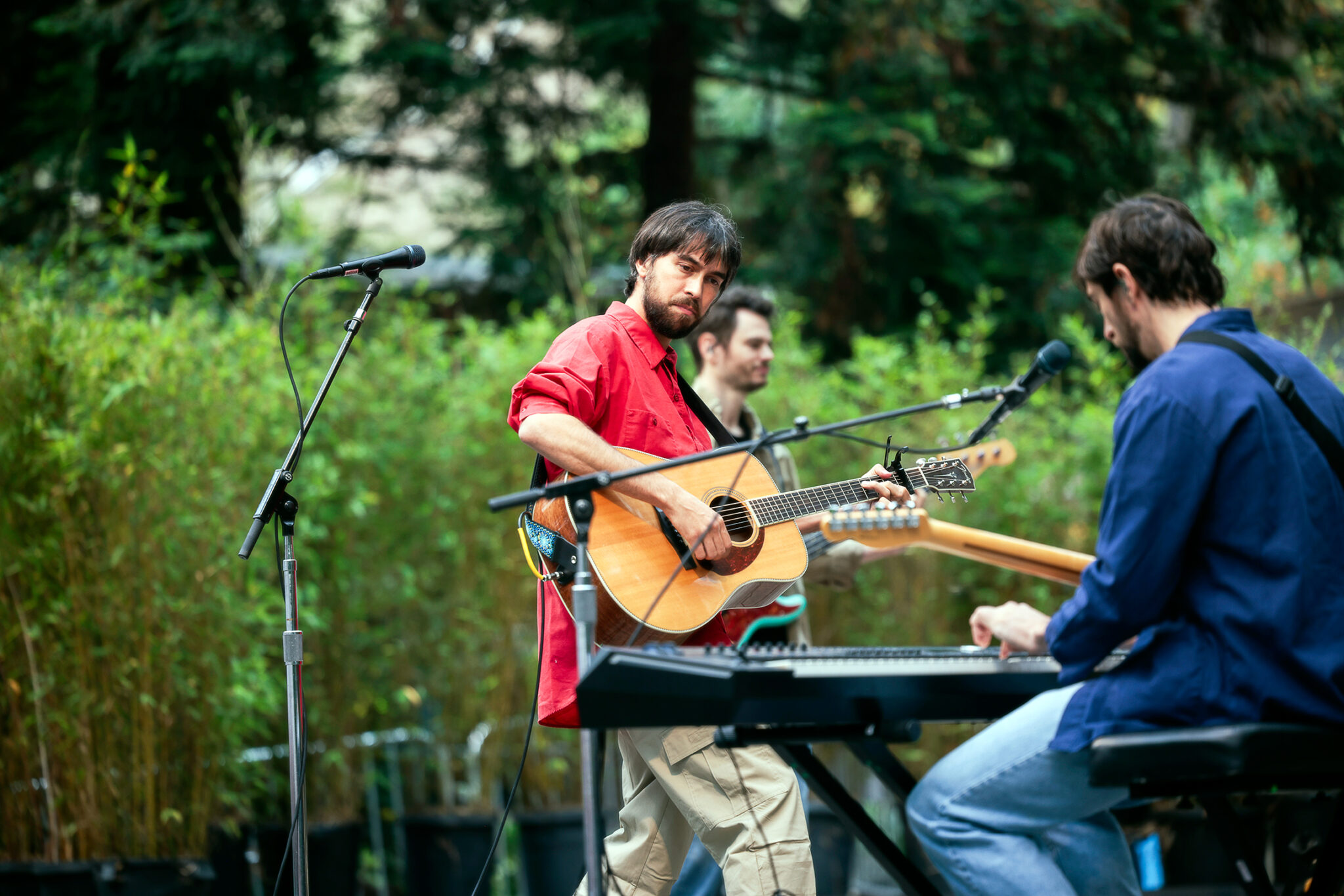 Alex G + Fake Fruit @ Stern Grove Festival - IMPOSE Magazine